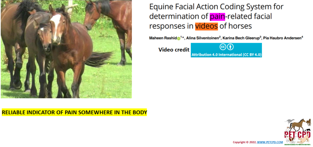 Where horse meets hound: the diet, microbiome, emotions, and behaviour ...